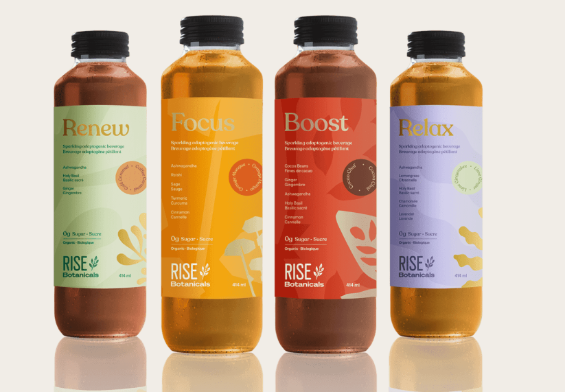 Rise Kombucha | Rank Media