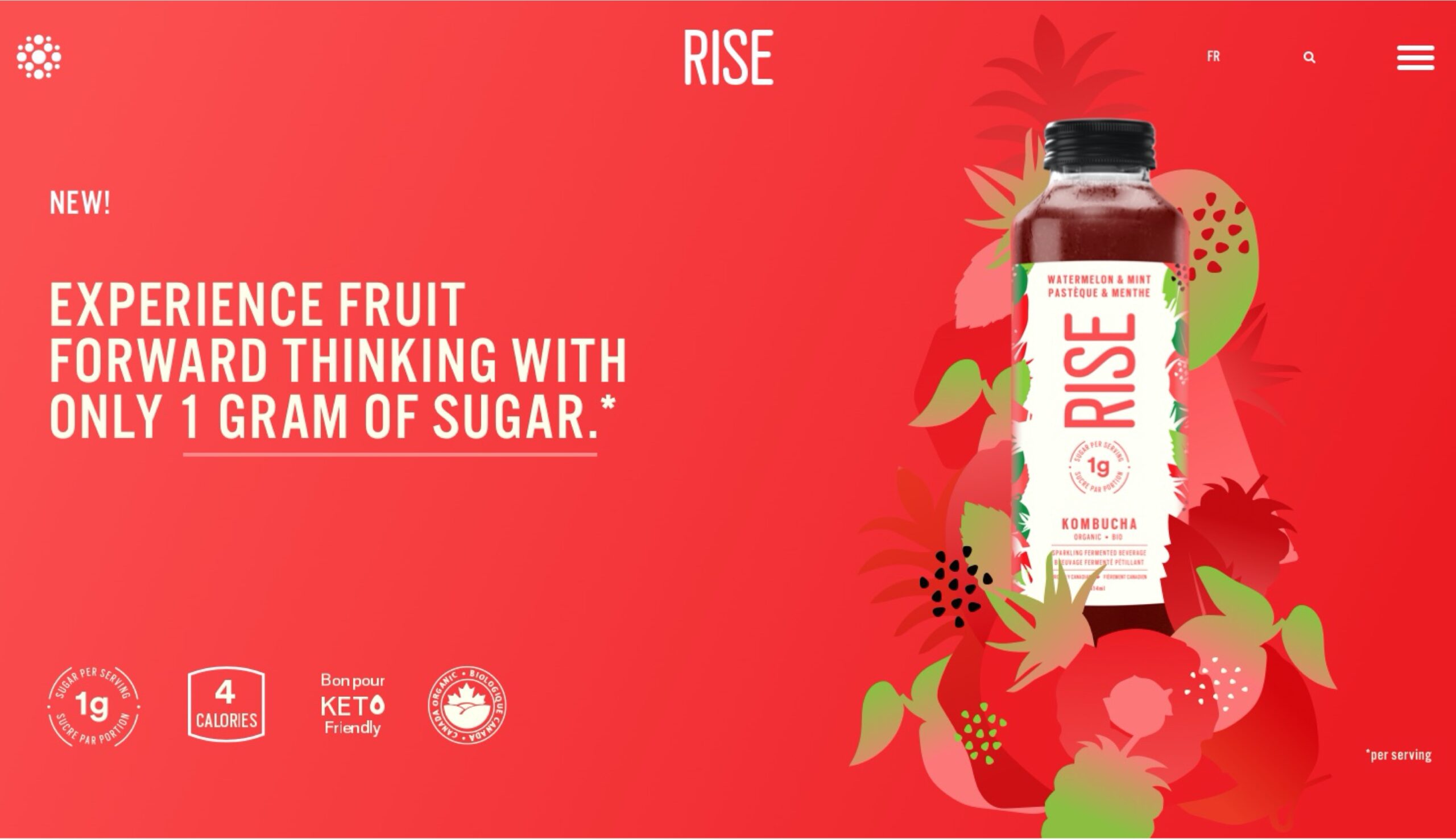 Rise Kombucha Rank Media Rise Kombucha Rank Media