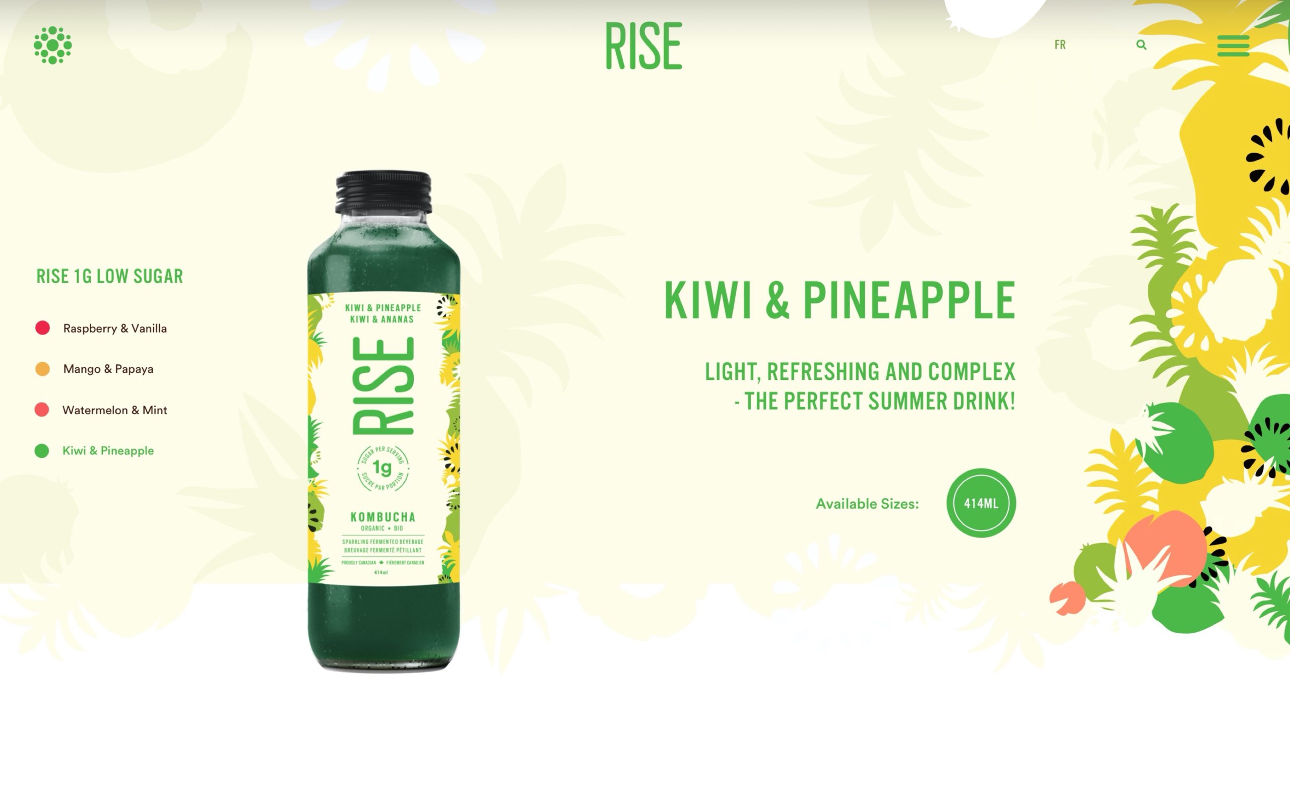Rise Kombucha Rank Media Rise Kombucha Rank Media